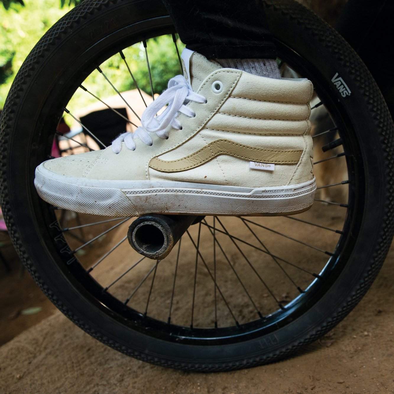 Vans e Angie Marino Ultrapassam os Limites do que é Possível com o SK8 ...