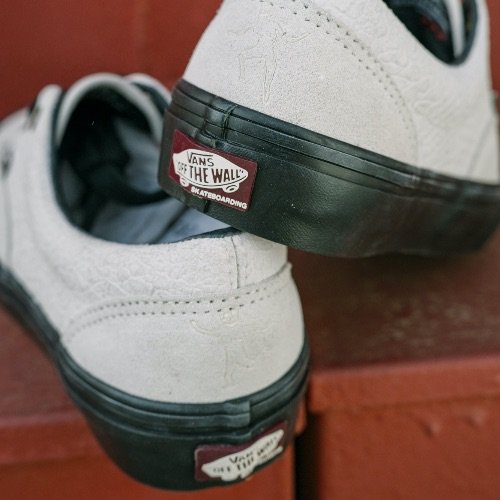 VANS E A SKATISTA BREANA GEERING APRESENTAM UMA COLEÇÃO ELEVADA DE ...